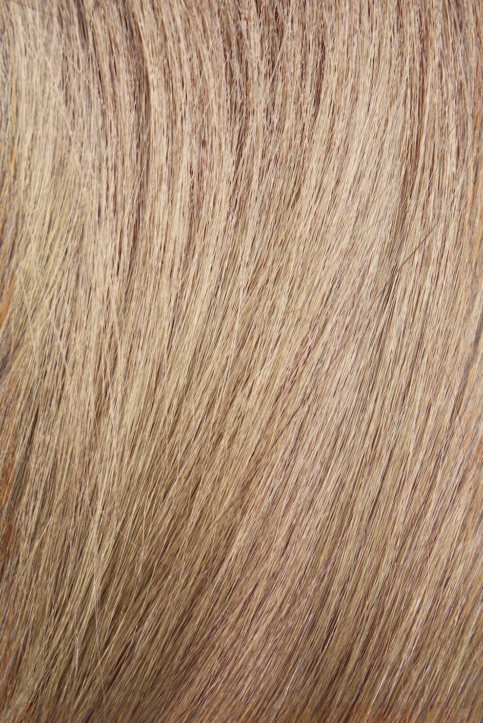 Shop Lushhe By Prostyles Classic Dark Ash Blonde #12 - The UK's Premium ...
